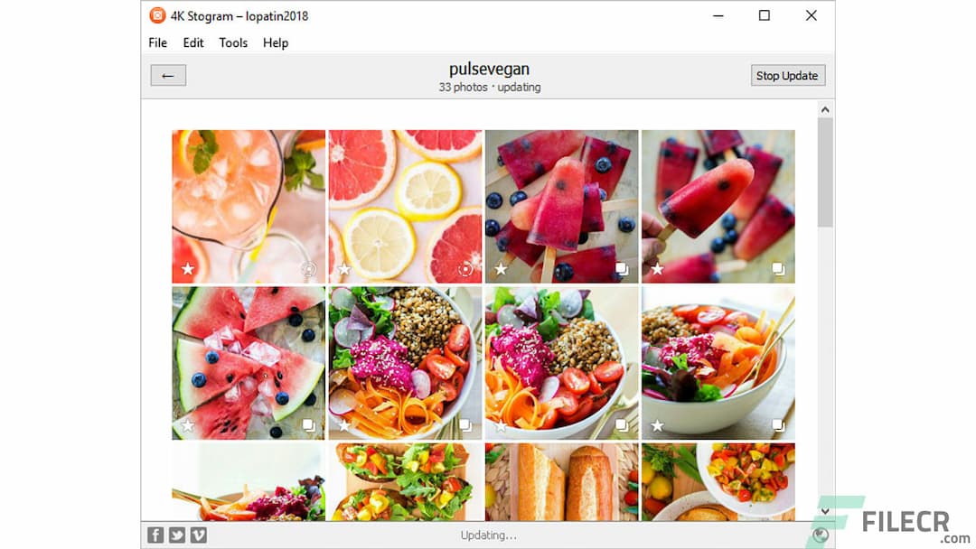 4K Stogram Professional 4.9.0.4680 Free Download - FileCR