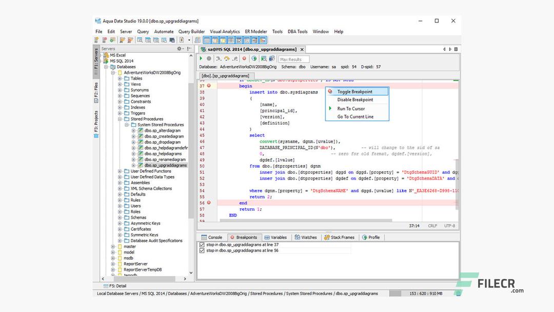 Aqua Data Studio 19.0.2.5 Full Version Free Download - FileCR