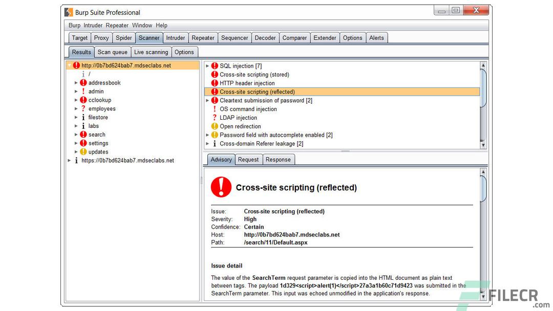 Burp Suite Professional 2025.4.3 - FileCR