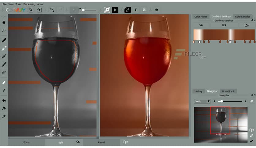 CODIJY Colorizer Pro 4.2.0 Free Download - FileCR