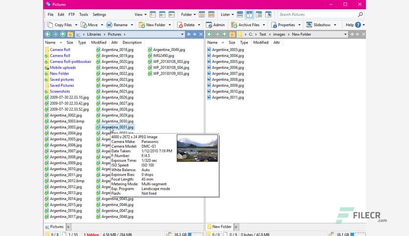Directory Opus Pro 13.19.2 Free Download - FileCR