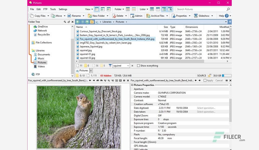 Directory Opus Pro 13.23.2 Free Download - FileCR