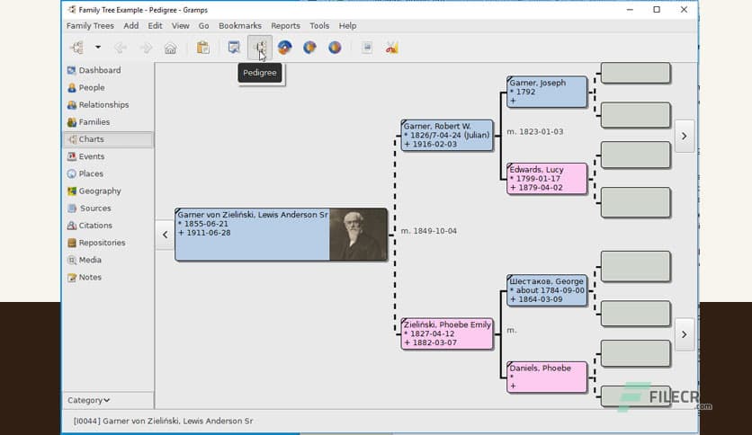 Family Tree Builder 8.0.0.8642 Free Download - FileCR