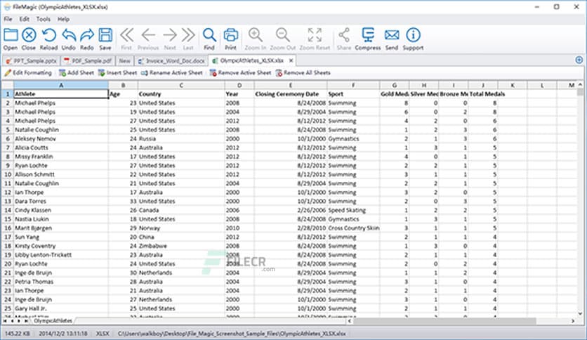 File Magic Gold Edition 1.9.8.19 Free Download - FileCR