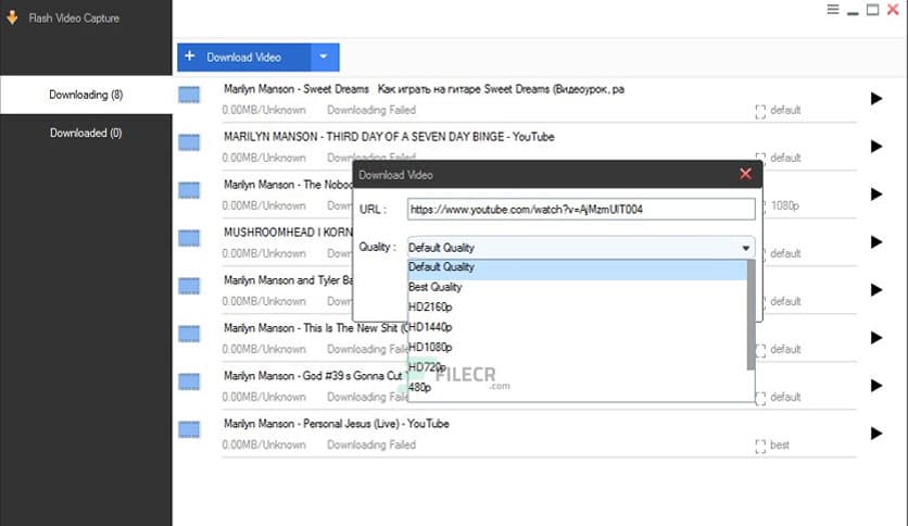 Flash Video Capture 5.3.0 build 7600 Free Download - FileCR