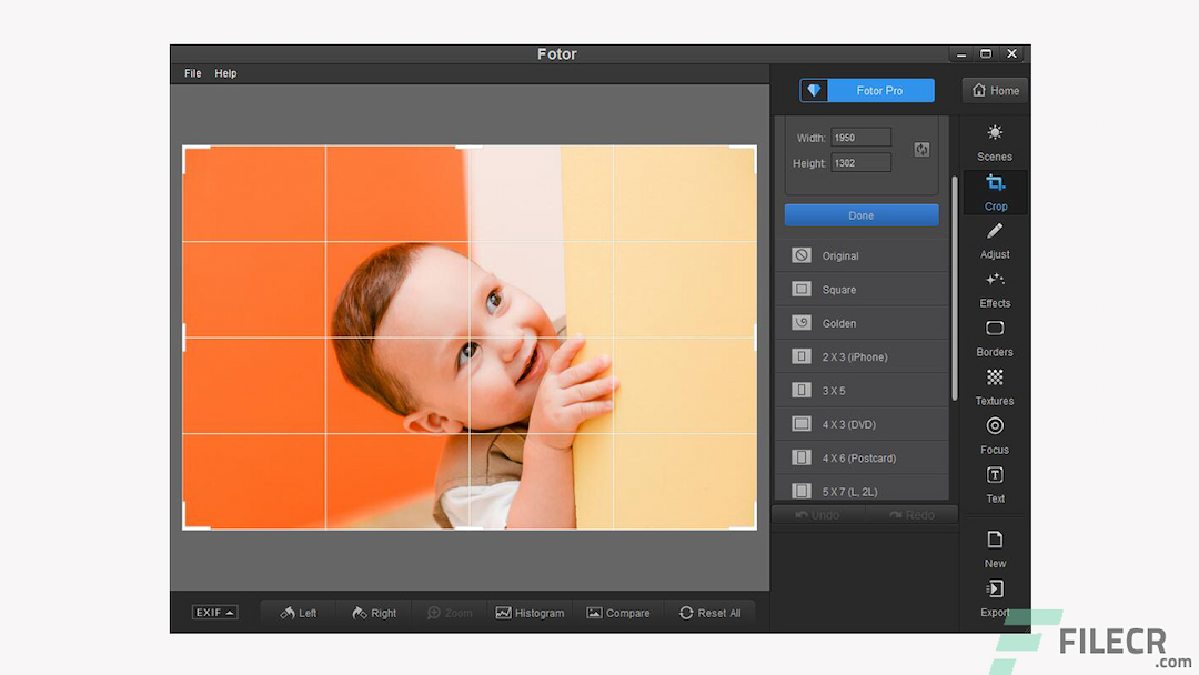 Fotor for Windows Download (Latest 2025) - FileCR
