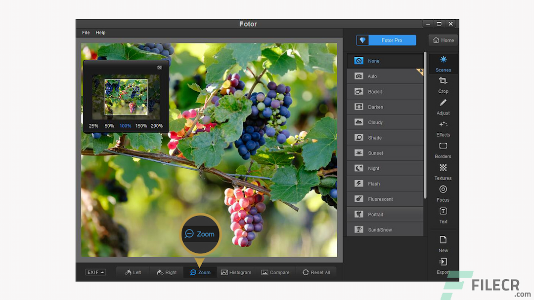 Fotor for Windows Download (Latest 2025) - FileCR