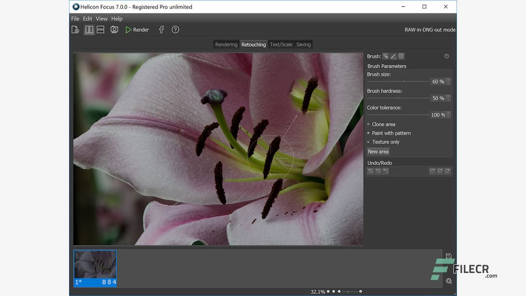 Helicon Focus Pro 8.1.0 Free Download - FileCR