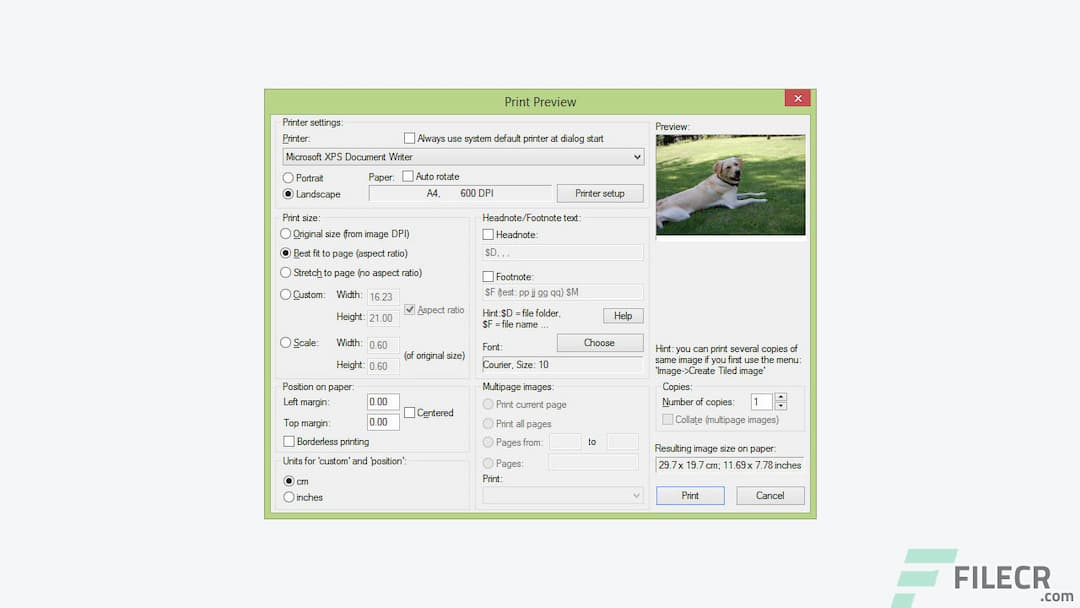 IrfanView 4.73 Commercial Free Download - FileCR