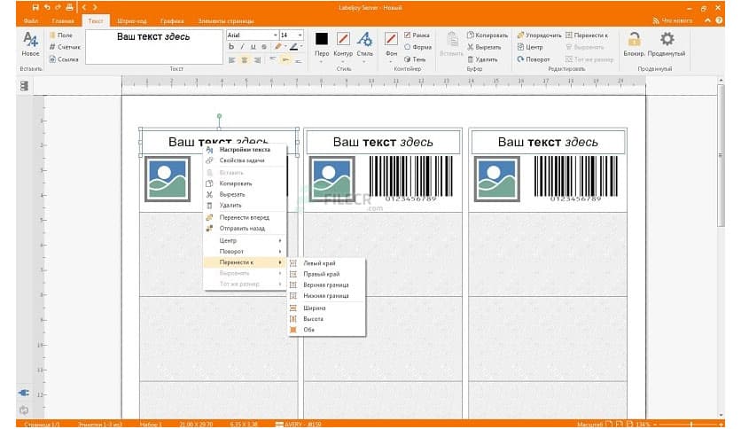 Labeljoy 6.24.03.29 - FileCR