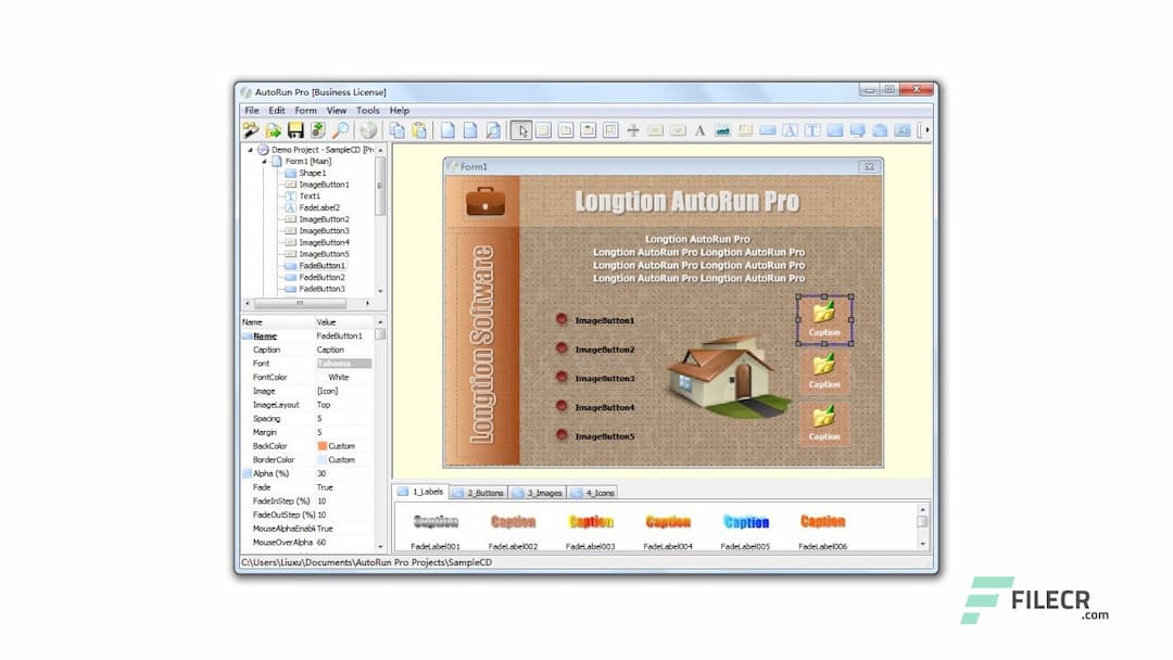 Longtion AutoRun Pro Enterprise 15.9.0.490 - FileCR