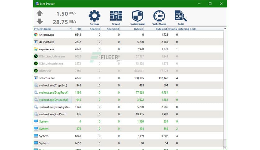 Net-Peeker 4.5.0.1431 Personal Edition Download - FileCR