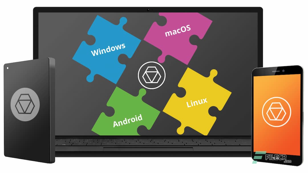 Paragon HFS+ for Windows 14.0.24 Free Download - FileCR