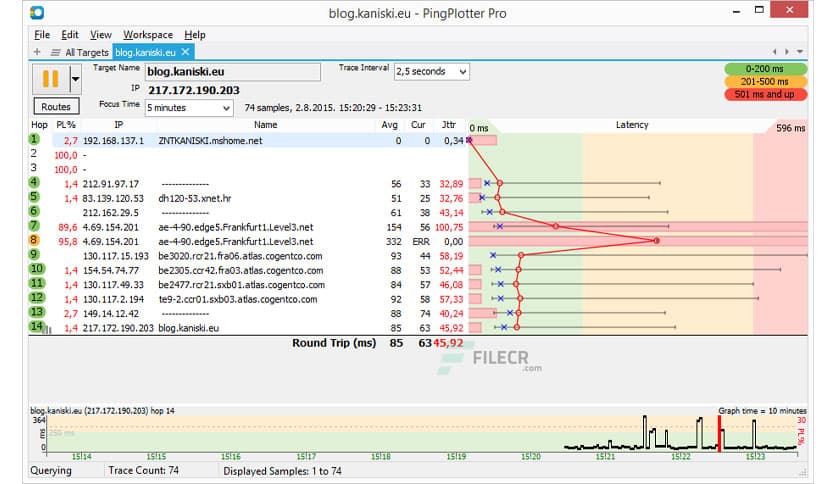 PingPlotter Professional 5.25.20.9089 - FileCR