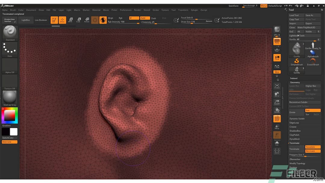 Pixologic ZBrush 2026.1.1 Free Download - FileCR