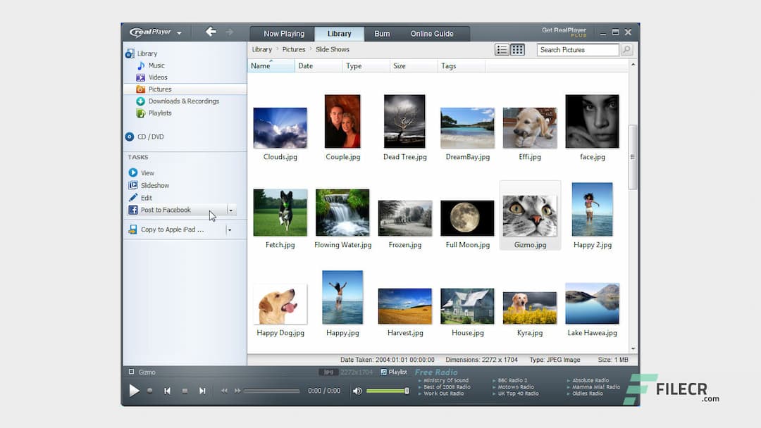 RealPlayer (RealTimes) 24.0.4.303 Free Download - FileCR