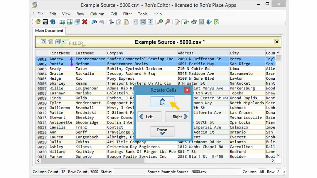 Rons CSV Editor 2023.05.19.1414 Free Download - FileCR