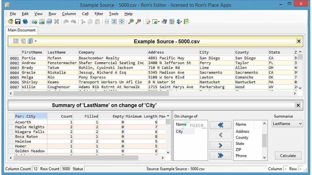 Rons CSV Editor 2023.05.19.1414 Free Download - FileCR