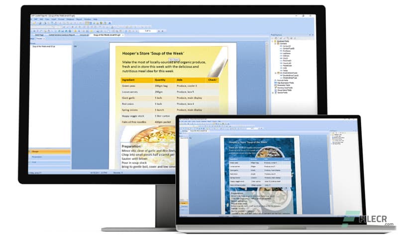 SAP Crystal Reports 2016 SP09 Free Download - FileCR