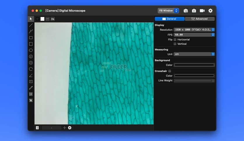 XCap 1.2.4 for MacOS Full Version Free Download - FileCR