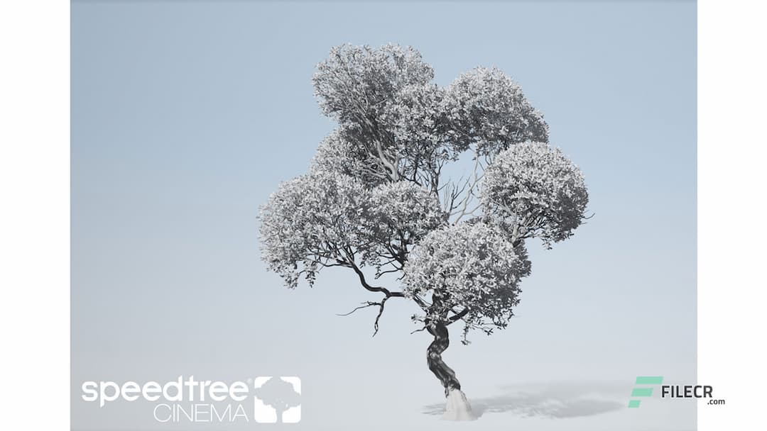 SpeedTree Modeler 10.0.1 - FileCR