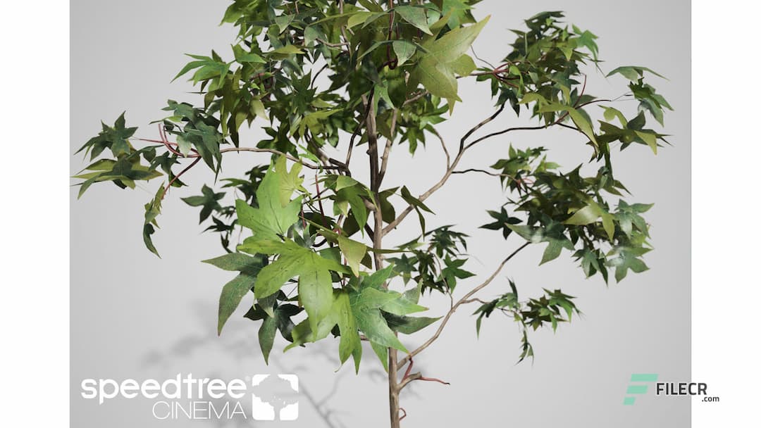 SpeedTree Modeler 10.0.1 - FileCR