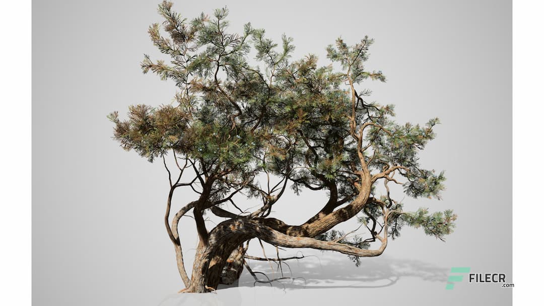 SpeedTree Modeler 10.0.1 - FileCR