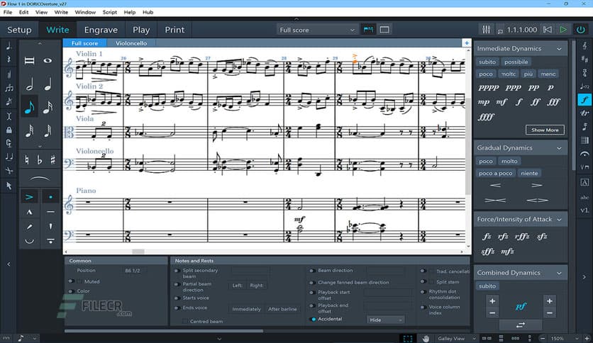 Steinberg Dorico Pro 6.1.10 + Additional Content - FileCR