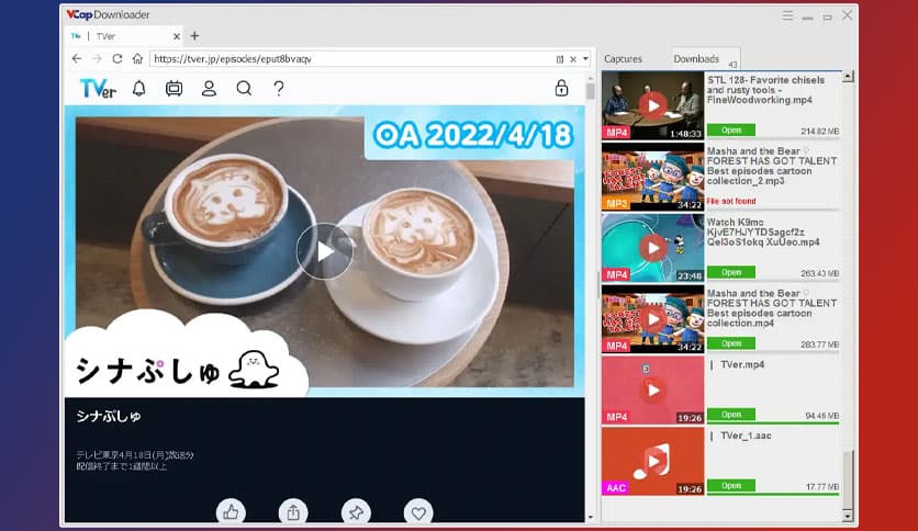 VCap Downloader Pro 0.1.42.6860 Free Download - FileCR