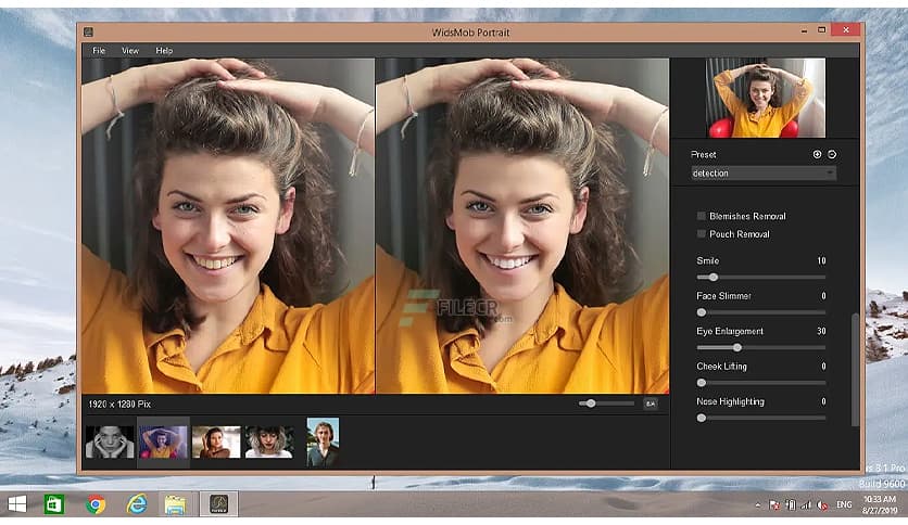 WidsMob Portrait 2.2.0.210 Full Version Download - FileCR