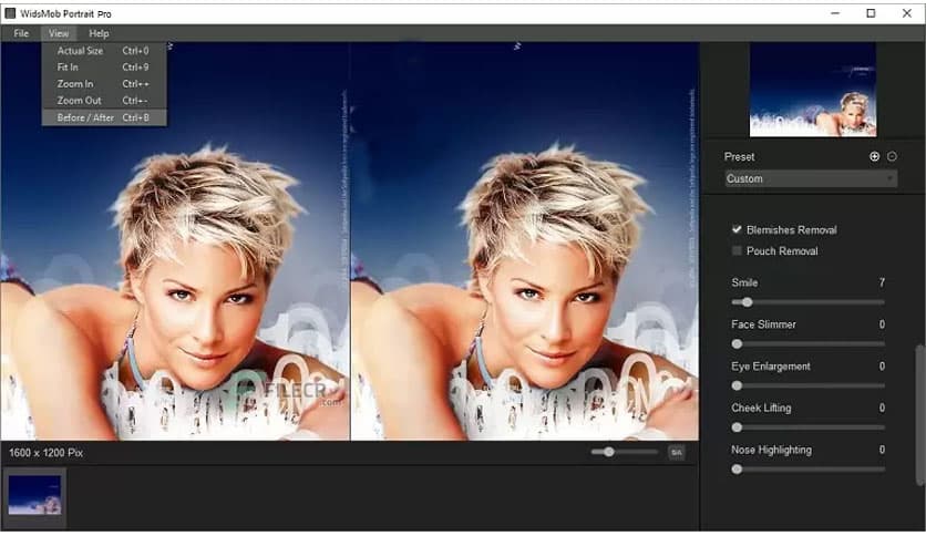 WidsMob Portrait Pro 2.2.0.210 Free Download - FileCR