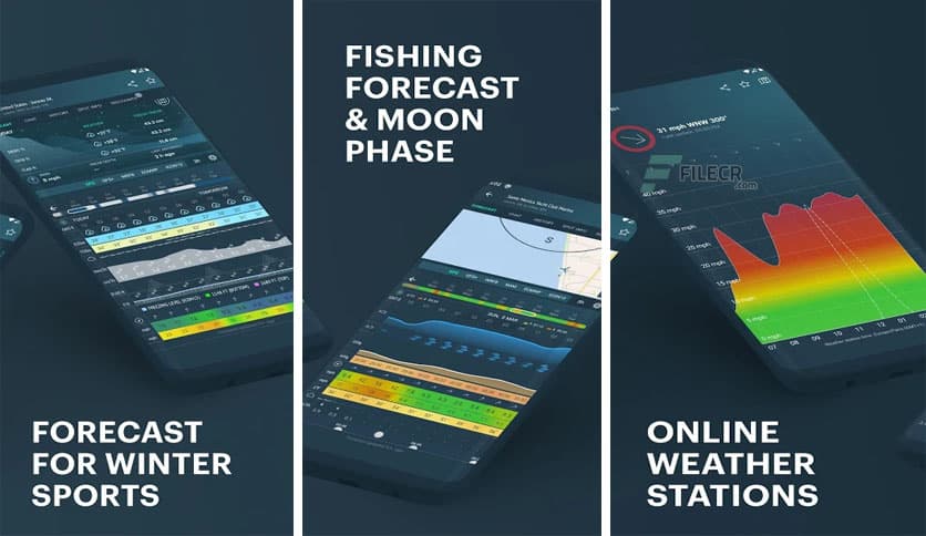 Windy.app - Windy Weather Map 87.0.1 Pro APK - FileCR