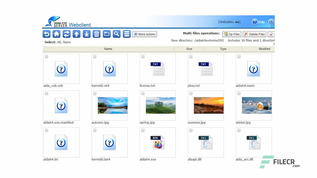 Wing FTP Server Corporate 8.0.4 Free Download - FileCR
