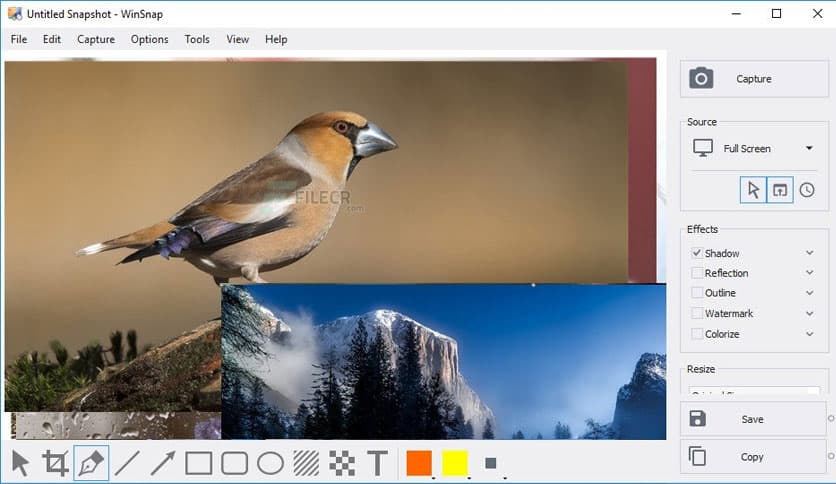 WinSnap 6.2.2 + Portable Free Download - FileCR