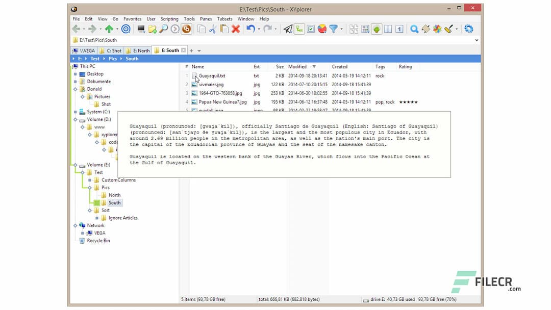 XYplorer 28.10.0100 Free Download - FileCR